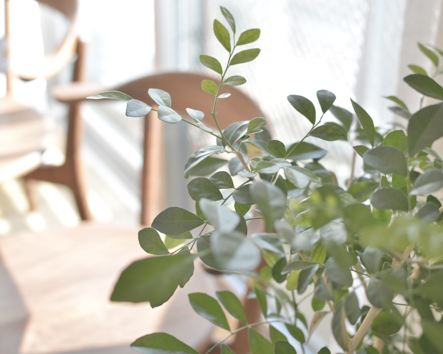 about | アトリエ＊ノート